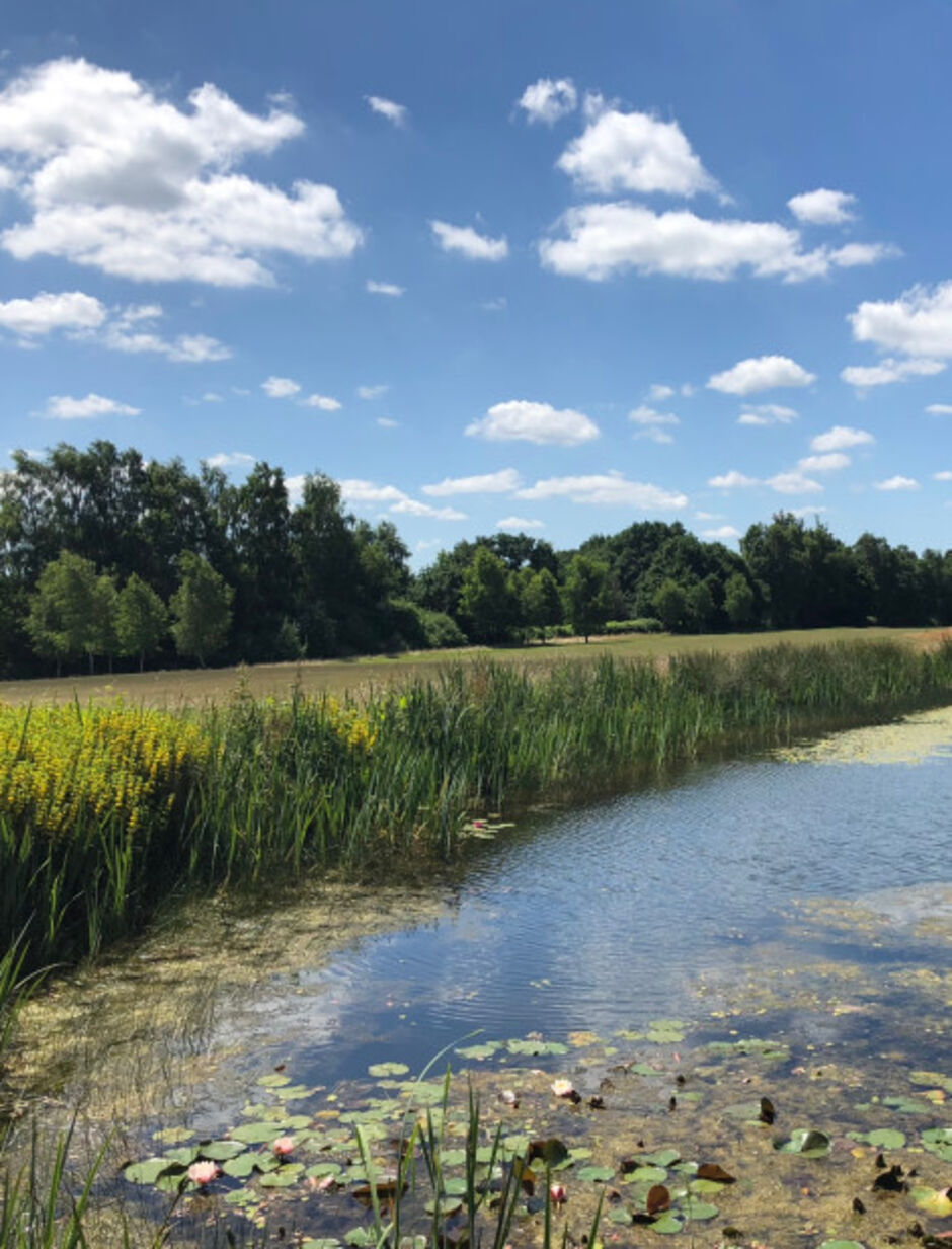 Home [www.petersfieldgolfclub.co.uk]